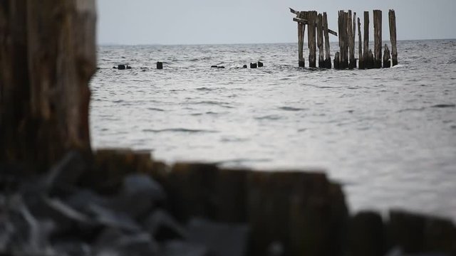 Falochrony Images – Browse 300 Stock Photos, Vectors, and Video | Adobe ...