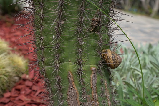 krigo photos, images, assets | Adobe Stock