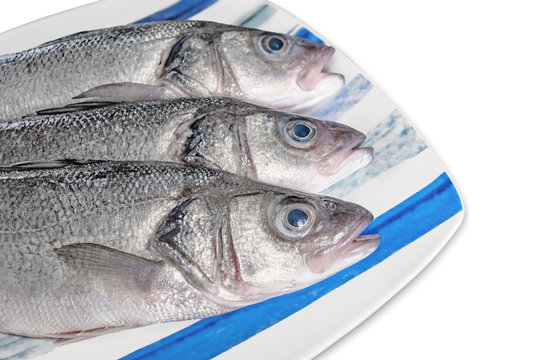 「Seebarsch」の画像 - 111 件の Stock 写真、ベクターおよびビデオ | Adobe Stock