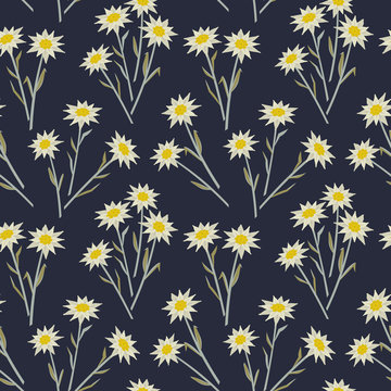 Edelweiss Pattern Images – Browse 1,004 Stock Photos, Vectors, and ...