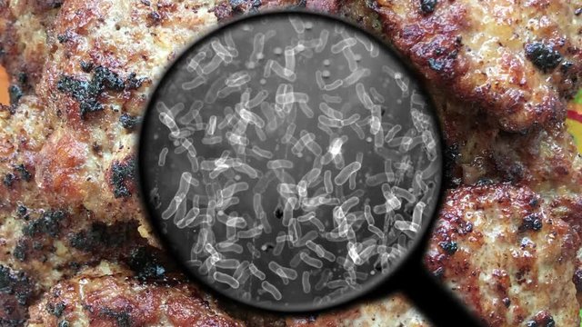 Microscopic Food Images – Browse 6,268 Stock Photos, Vectors, and Video ...