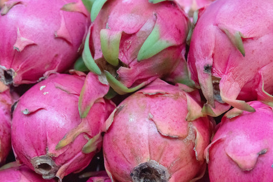 รูปภาพPitaia – เลือกดูภาพถ่ายสต็อก เวกเตอร์ และวิดีโอ227 | Adobe Stock