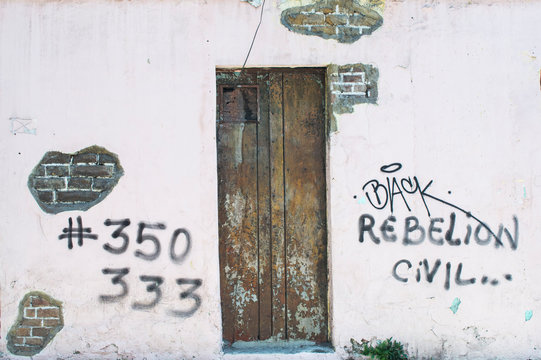 Imágenes de Ladillos: descubre bancos de fotos, ilustraciones, vectores ...