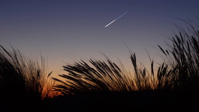 "Falling Star" Images – Browse 8,947 Stock Photos, Vectors, and Video ...