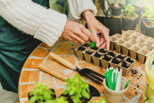 รูปภาพPoot – เลือกดูภาพถ่ายสต็อก เวกเตอร์ และวิดีโอ254 | Adobe Stock