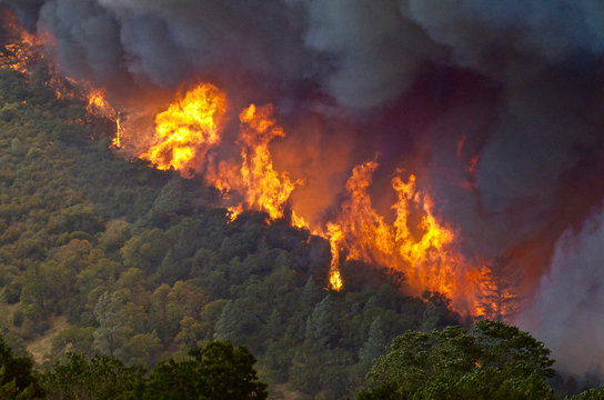 รูปภาพWildland – เลือกดูภาพถ่ายสต็อก เวกเตอร์ และวิดีโอ5,530 | Adobe Stock