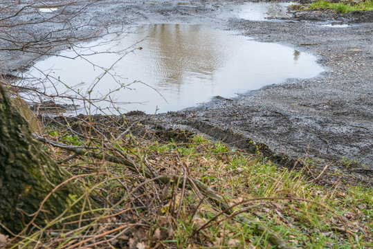 Matsche bilder – Bläddra bland 100 stockfoton, vektorer och videor ...