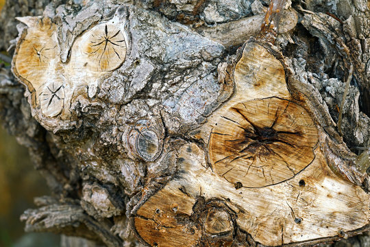 Strcture bilder – Bläddra bland 122 stockfoton, vektorer och videor | Adobe Stock