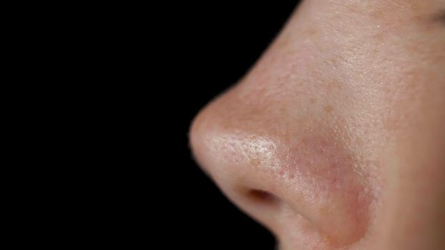 Beautiful Nose Images – Browse 539,683 Stock Photos, Vectors, and Video ...