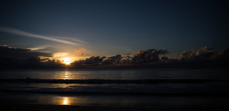 Palman Bilder – Durchsuchen 573 Archivfotos, Vektorgrafiken und Videos ...