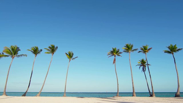 Peregrination Images – Browse 4,376 Stock Photos, Vectors, and Video ...