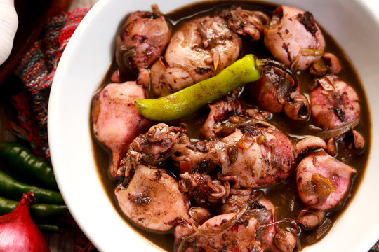 Pusit Images – Browse 58 Stock Photos, Vectors, and Video | Adobe Stock