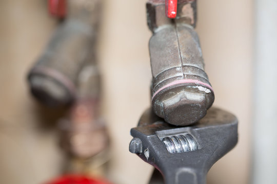 krigo photos, images, assets | Adobe Stock