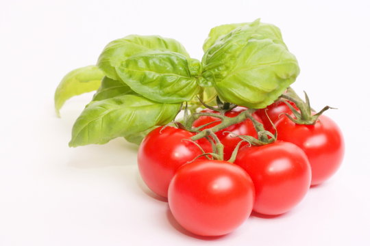 Basilium Images – Browse 40 Stock Photos, Vectors, and Video | Adobe Stock