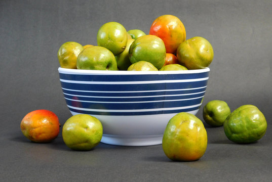 Jobo Images – Browse 60 Stock Photos, Vectors, and Video | Adobe Stock