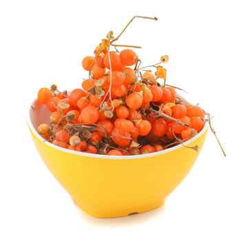 รูปภาพGunda – เลือกดูภาพถ่ายสต็อก เวกเตอร์ และวิดีโอ92 | Adobe Stock