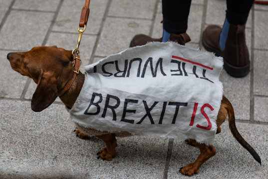 Anti-Brexit bilder – Bläddra bland 273 stockfoton, vektorer och videor ...