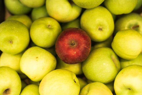 Apfelsorte Bilder – Durchsuchen 10,843 Archivfotos, Vektorgrafiken und ...