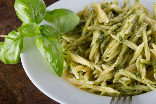 Troffie Images – Browse 46 Stock Photos, Vectors, and Video | Adobe Stock