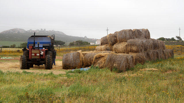 Hay-Bales Images – Browse 63 Stock Photos, Vectors, and Video | Adobe Stock