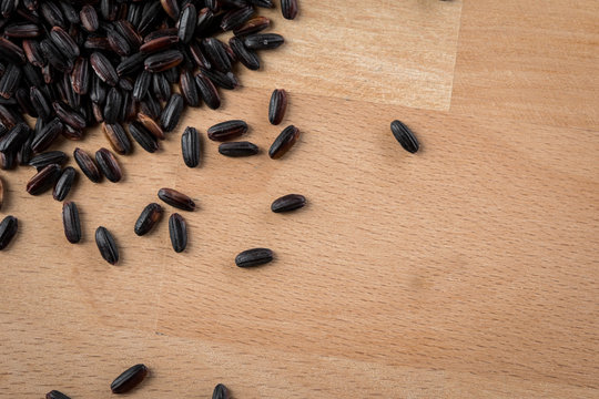 รูปภาพNerone – เลือกดูภาพถ่ายสต็อก เวกเตอร์ และวิดีโอ1,109 | Adobe Stock