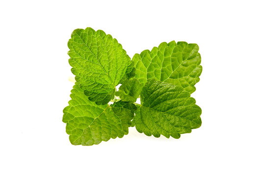 Mentol Bilder – Durchsuchen 585 Archivfotos, Vektorgrafiken und Videos ...