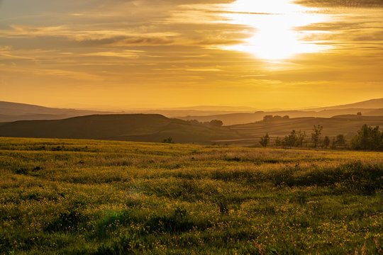 Grassland Sunset