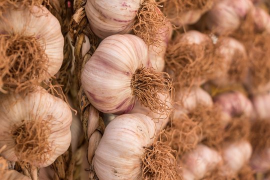 รูปภาพSativum – เลือกดูภาพถ่ายสต็อก เวกเตอร์ และวิดีโอ146,274 | Adobe Stock