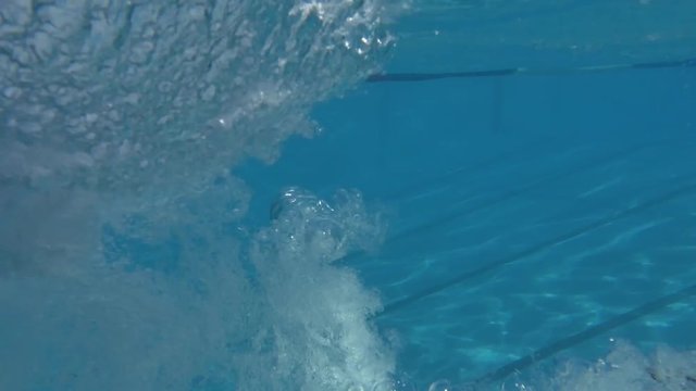 Springboard Diving Images – Browse 8,448 Stock Photos, Vectors, and ...