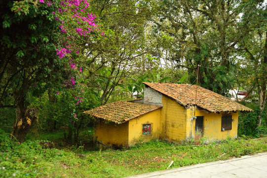 Humilde 이미지 – 찾아보기 271 스톡 사진, 벡터 및 비디오 | Adobe Stock