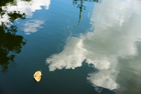 "Peaceful Background" Images – Browse 3,740 Stock Photos, Vectors, and ...