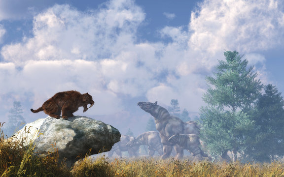 Imágenes de Baluchitherium: descubre bancos de fotos, ilustraciones ...