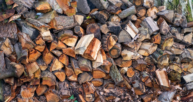 รูปภาพ"Flache – เลือกดูภาพถ่ายสต็อก เวกเตอร์ และวิดีโอ1,034 | Adobe Stock