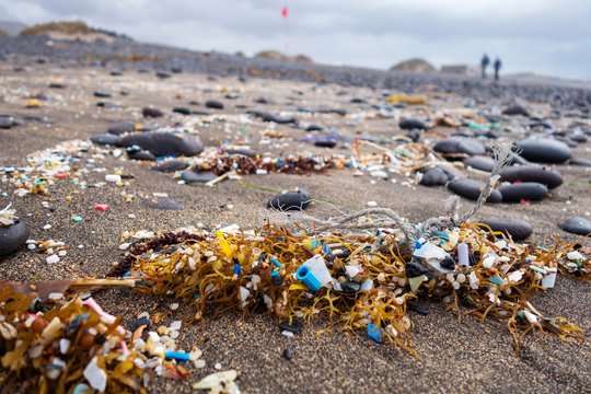 รูปภาพMicroplastics – เลือกดูภาพถ่ายสต็อก เวกเตอร์ และวิดีโอ9,876 ...