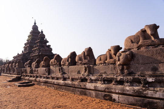 "Shore Temple" Imagens – Procure 320 fotos, vetores e vídeos | Adobe Stock