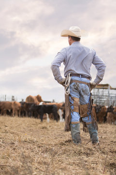 Cattleman Images – Browse 855,626 Stock Photos, Vectors, and Video ...