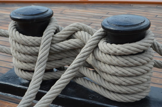 「Taue」の写真素材 | 2,103件の無料イラスト画像 | Adobe Stock