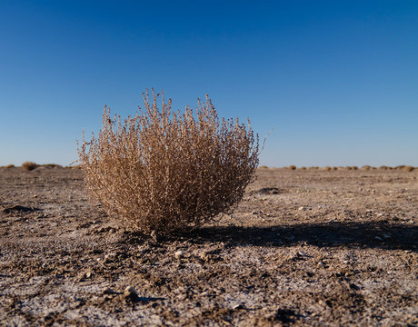 LAS 2,696 MEJORES IMÁGENES, FOTOS DE ARCHIVO Y VECTORES DE Estepicursor ...