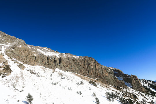 Sheepback bilder – Bläddra bland 33 stockfoton, vektorer och videor ...