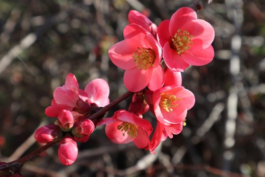 Stockbilder Images – Browse 31 Stock Photos, Vectors, and Video | Adobe ...