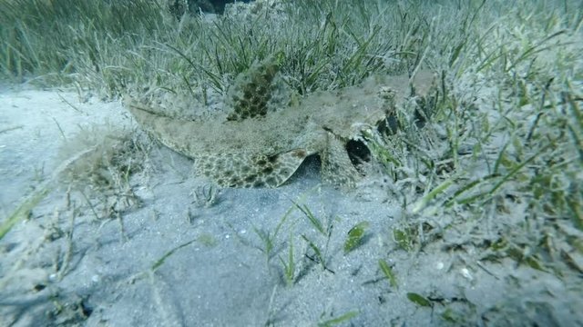 Seabad Images – Browse 27 Stock Photos, Vectors, and Video | Adobe Stock