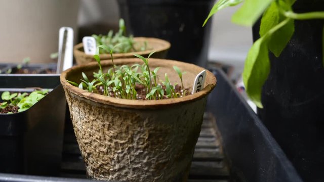 Decomposing Images – Browse 79,587 Stock Photos, Vectors, and Video ...