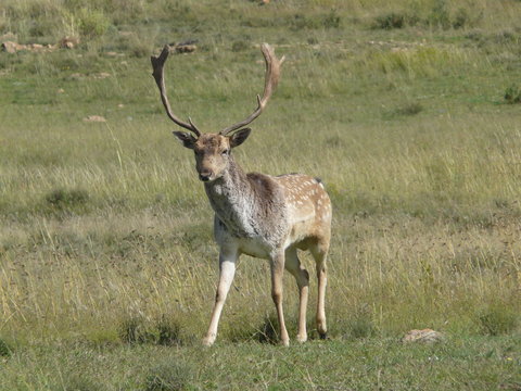 รูปภาพTakbok – เลือกดูภาพถ่ายสต็อก เวกเตอร์ และวิดีโอ4 | Adobe Stock