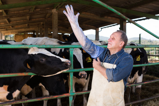 รูปภาพInseminator – เลือกดูภาพถ่ายสต็อก เวกเตอร์ และวิดีโอ142 | Adobe Stock
