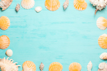 40+ Free Seashell Backgrounds & Pictures - Pikwizard