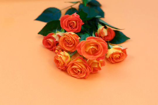 Bonches Images – Browse 33 Stock Photos, Vectors, and Video | Adobe Stock