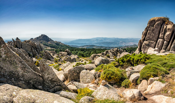 Monte Bilder – Durchsuchen 156,529 Archivfotos, Vektorgrafiken und ...