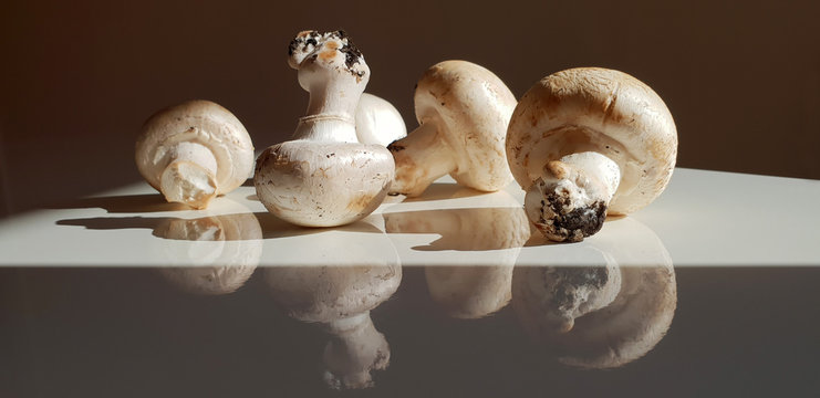 Champignons Billeder – Gennemse 176,003 stockfotos, vektorer og videoer ...