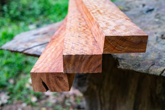 Padauk Images – Browse 2,560 Stock Photos, Vectors, and Video | Adobe Stock