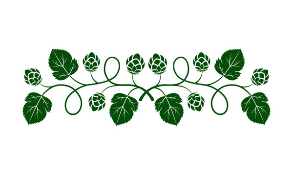 Hops Border Vector